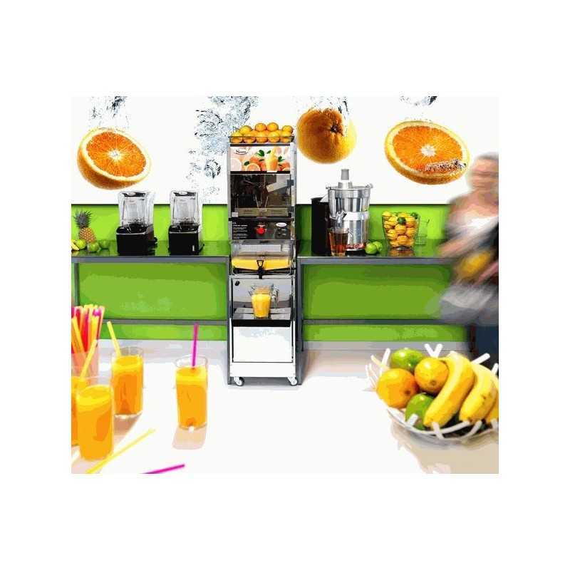 Presse oranges automatique Santos 32t à partir de 6339.00 - Pesage-mb.com